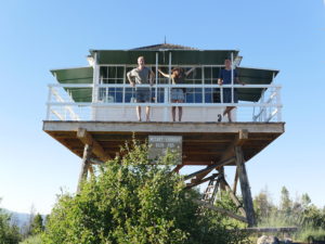 Nature Boom Time Makes Trees the Coolest Things Around • All Things Fadra