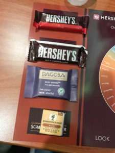 Making A Day of Hershey's Chocolate World • All Things Fadra