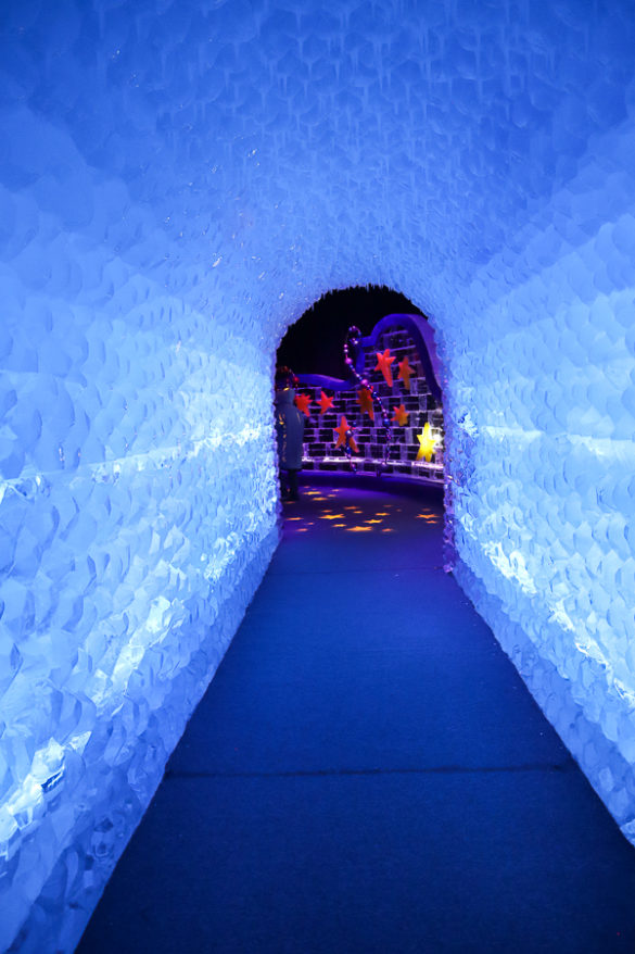 Gaylord ICE! is back at National Harbor • All Things Fadra