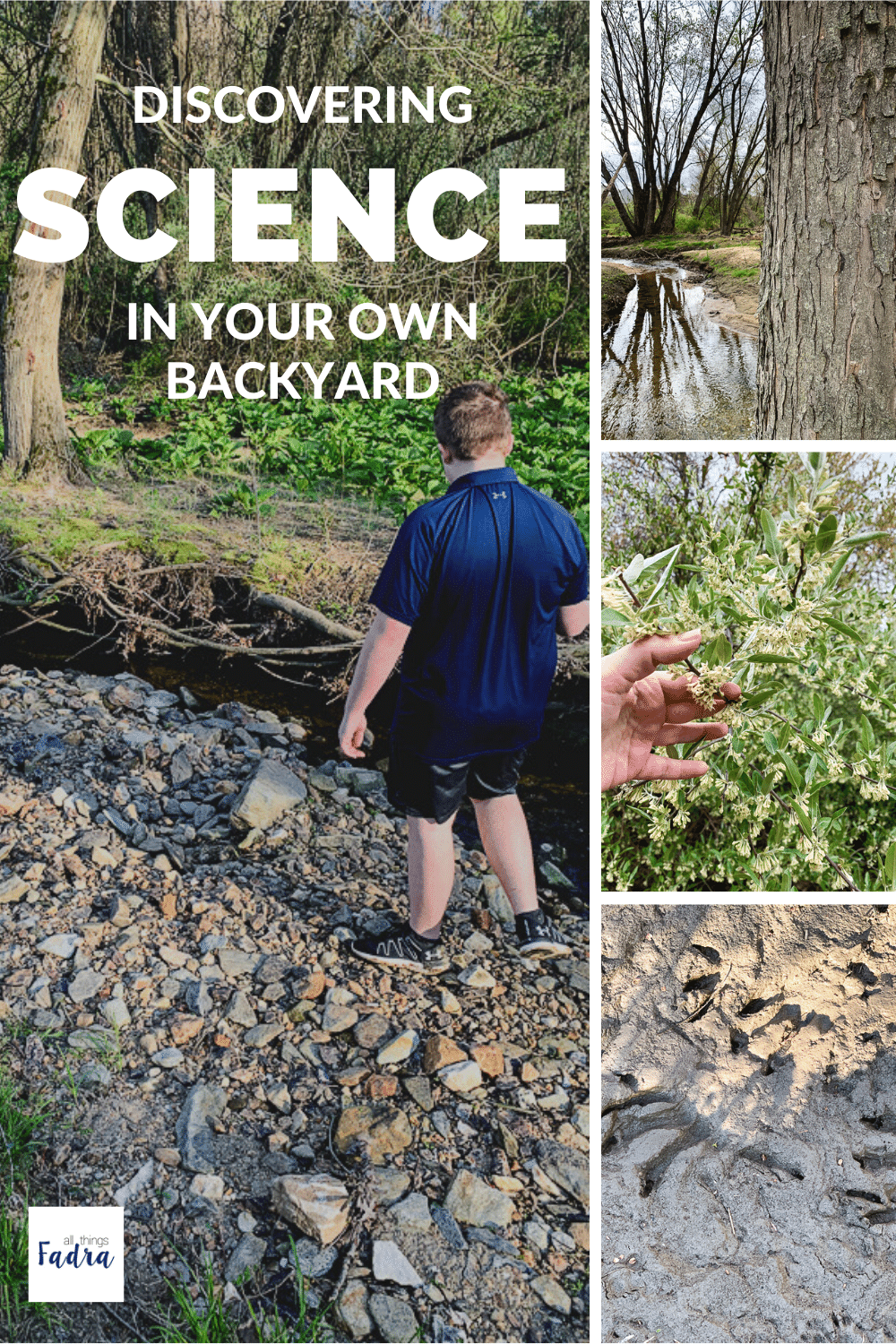 Science Education in your Own Backyard • All Things Fadra