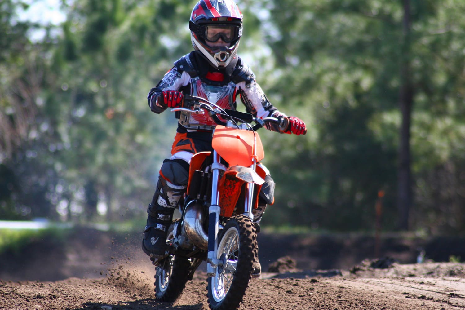 The International Motorcycle Show Is Back For 2021 All Things Fadra the-international-motorcycle-show-is-back-for-2021-all-things-fadra