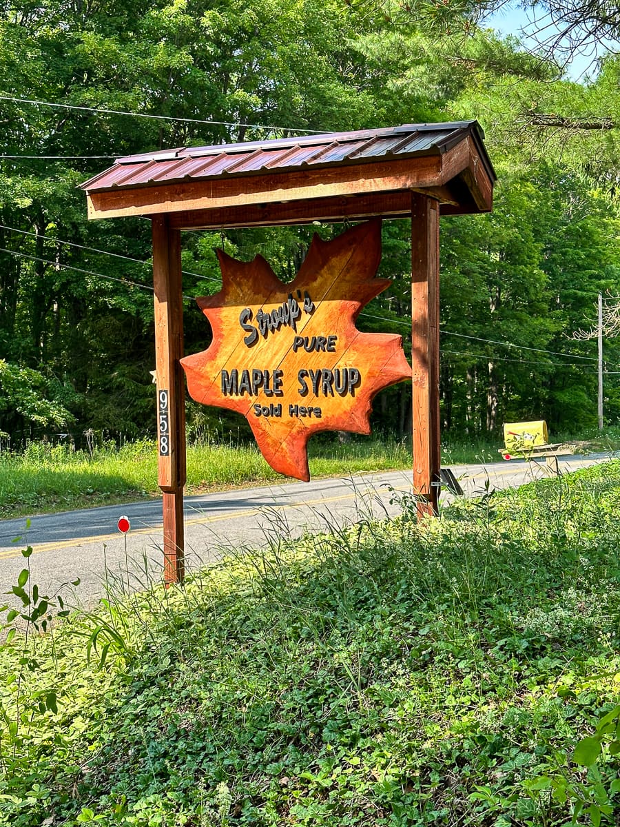 Discover Allegheny National Forest in Pennsylvania • All Things Fadra