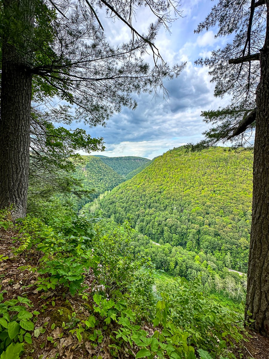 Visiting the OTHER Grand Canyon in Pennsylvania • All Things Fadra