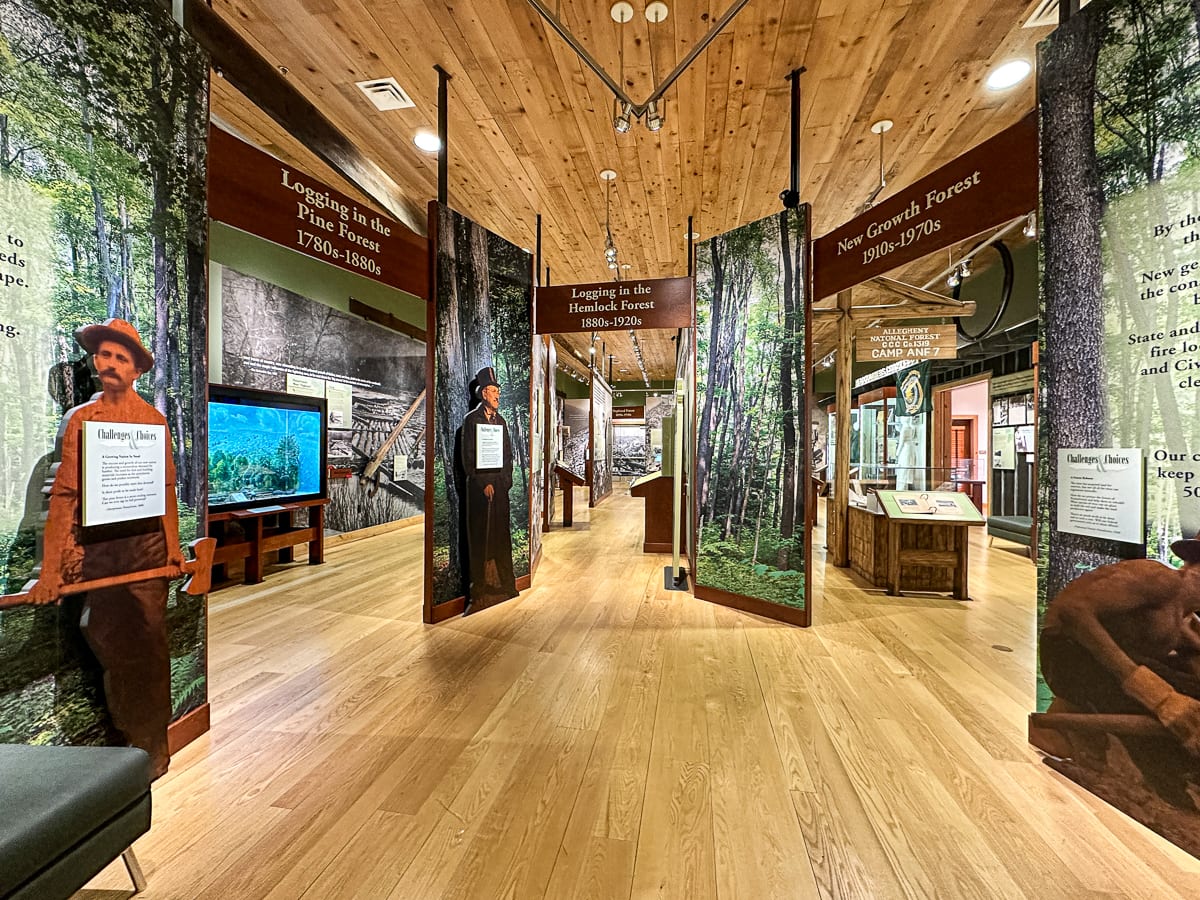 Visiting the OTHER Grand Canyon in Pennsylvania • All Things Fadra