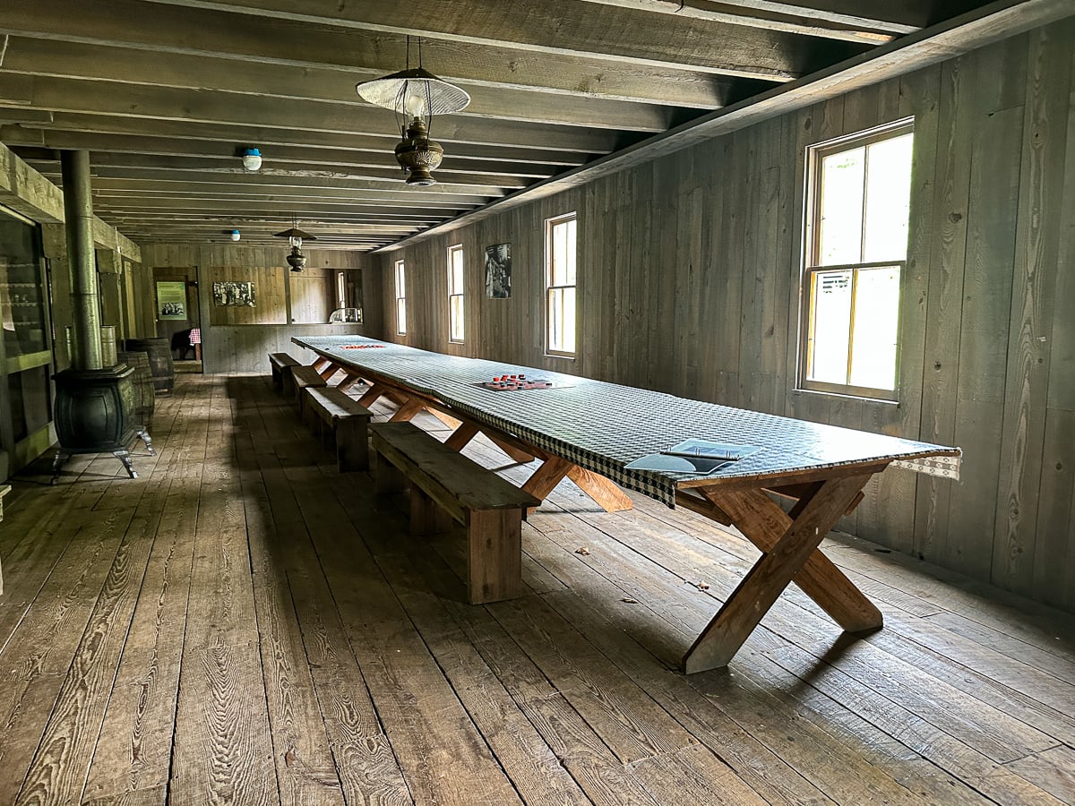 Visiting the OTHER Grand Canyon in Pennsylvania • All Things Fadra