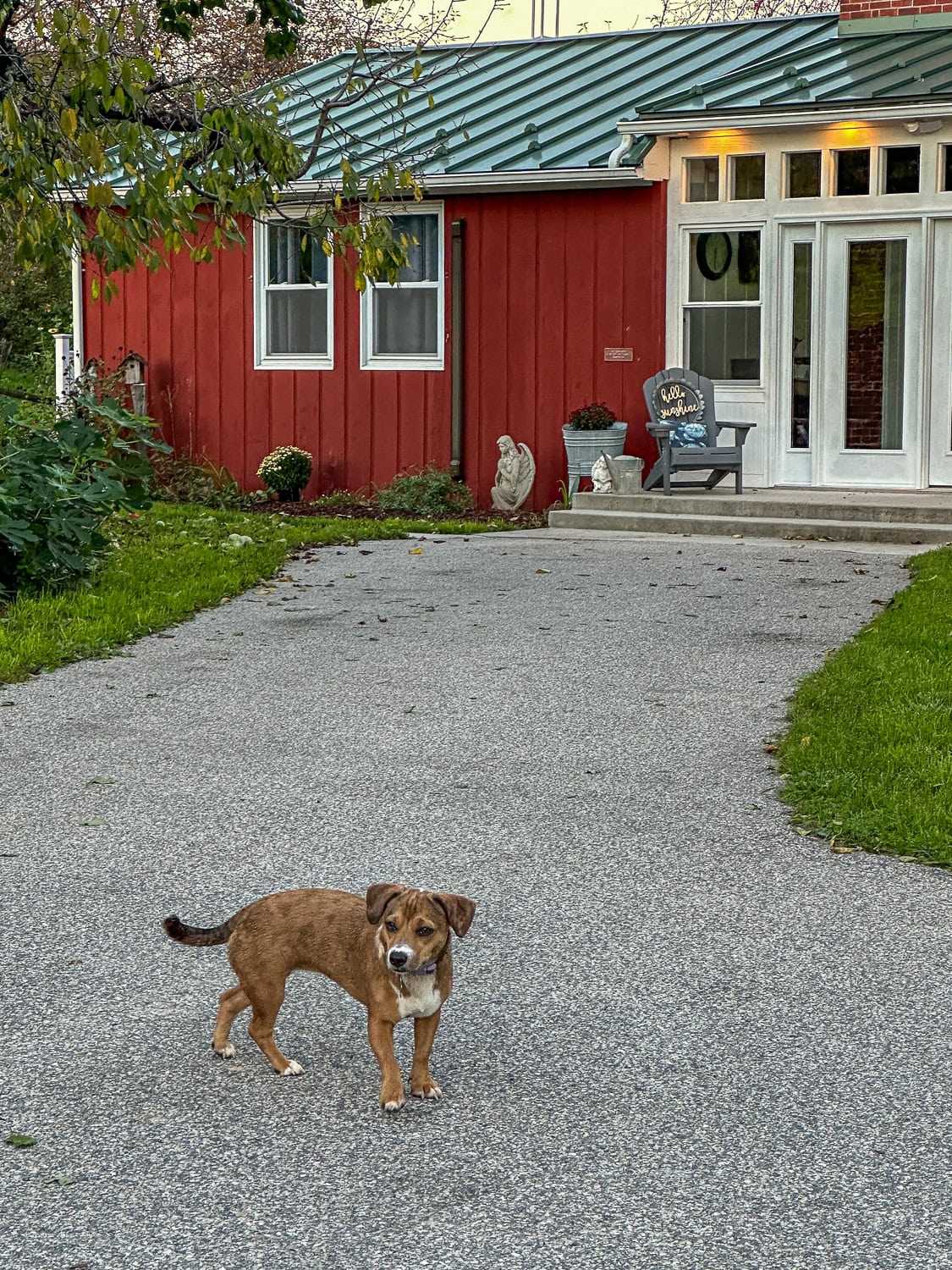 6 Fun Ways to Celebrate Apple Harvest Season in Pennsylvania