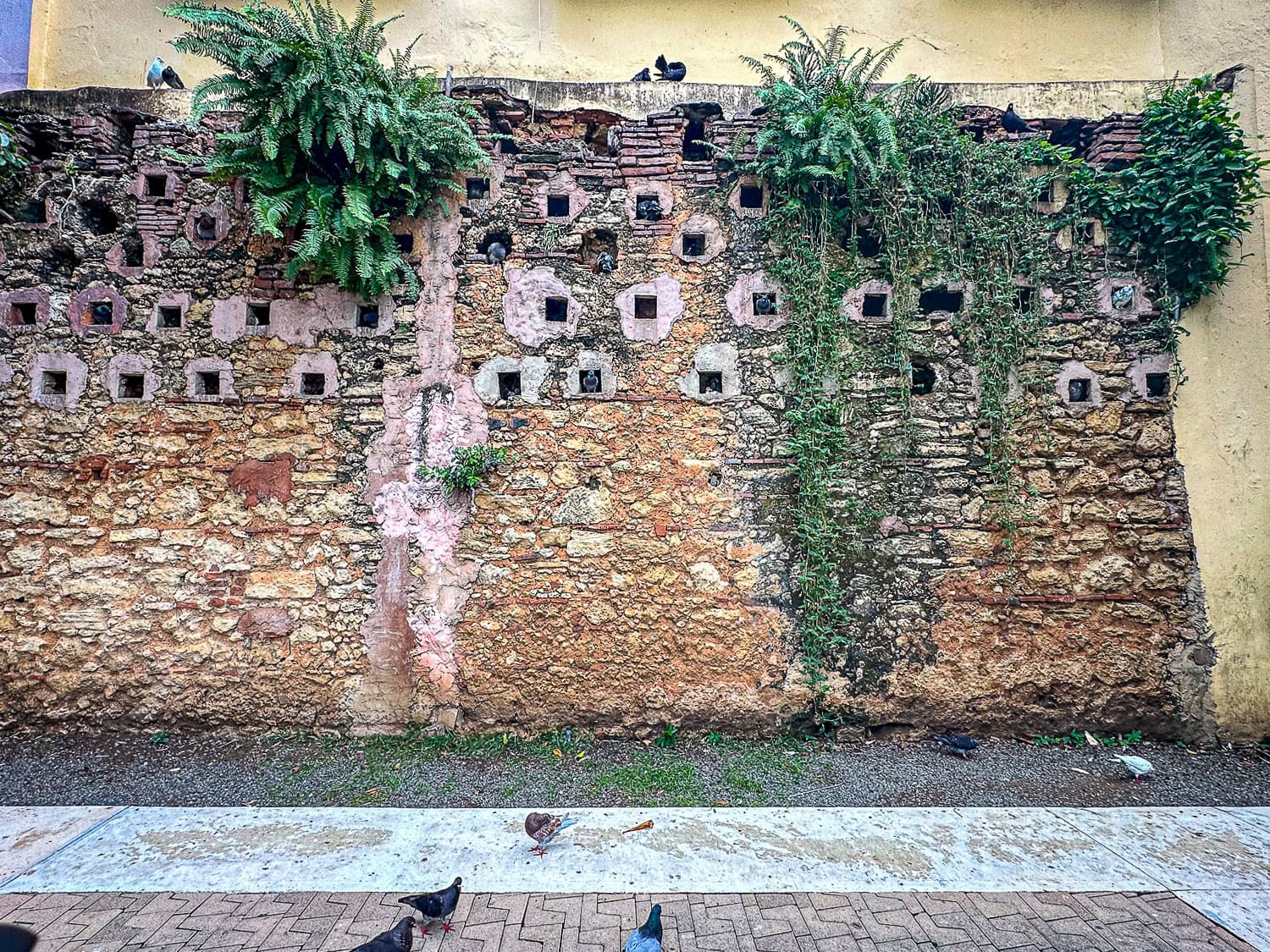 Unique Things to Do in Old San Juan on Your Own