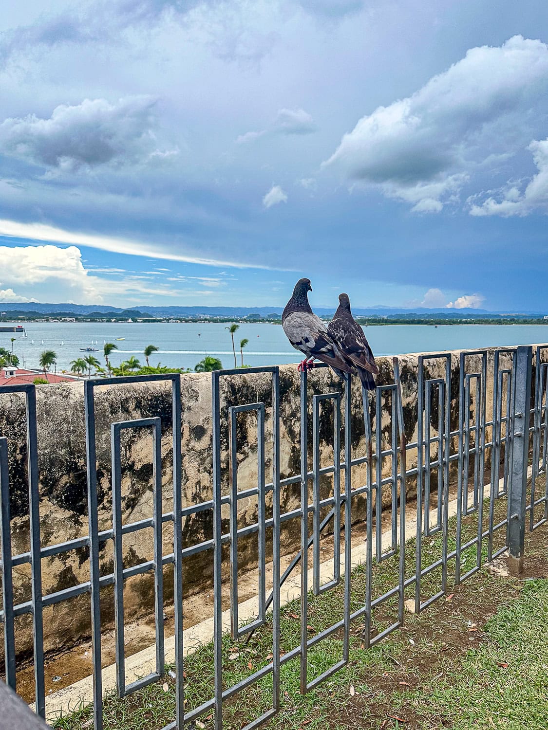 Unique Things to Do in Old San Juan on Your Own